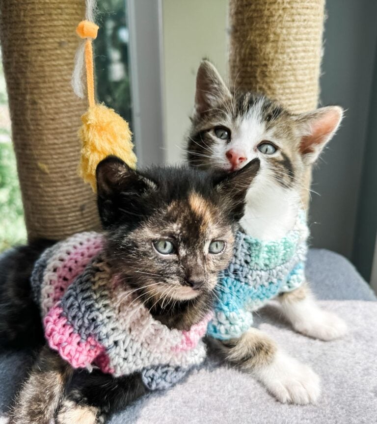 Cat Sweater Crochet Pattern - MJ's off the Hook Designs