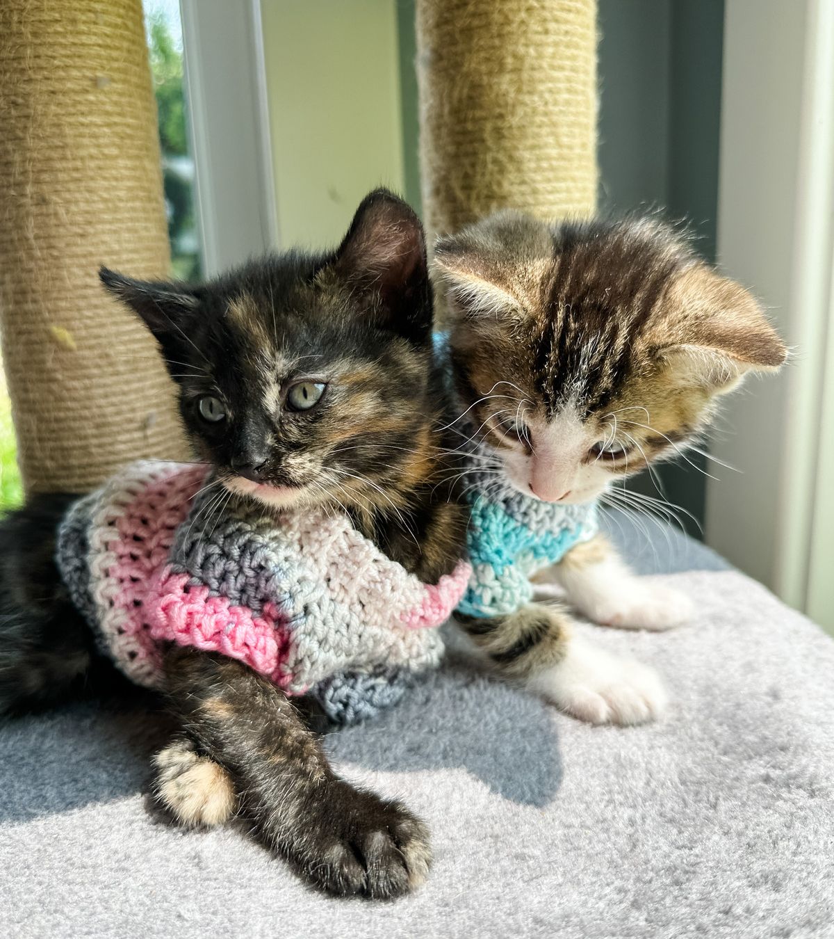 Cat Sweater Crochet Pattern - MJ's off the Hook Designs