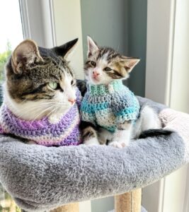 Cat Sweater Crochet Pattern - MJ's off the Hook Designs
