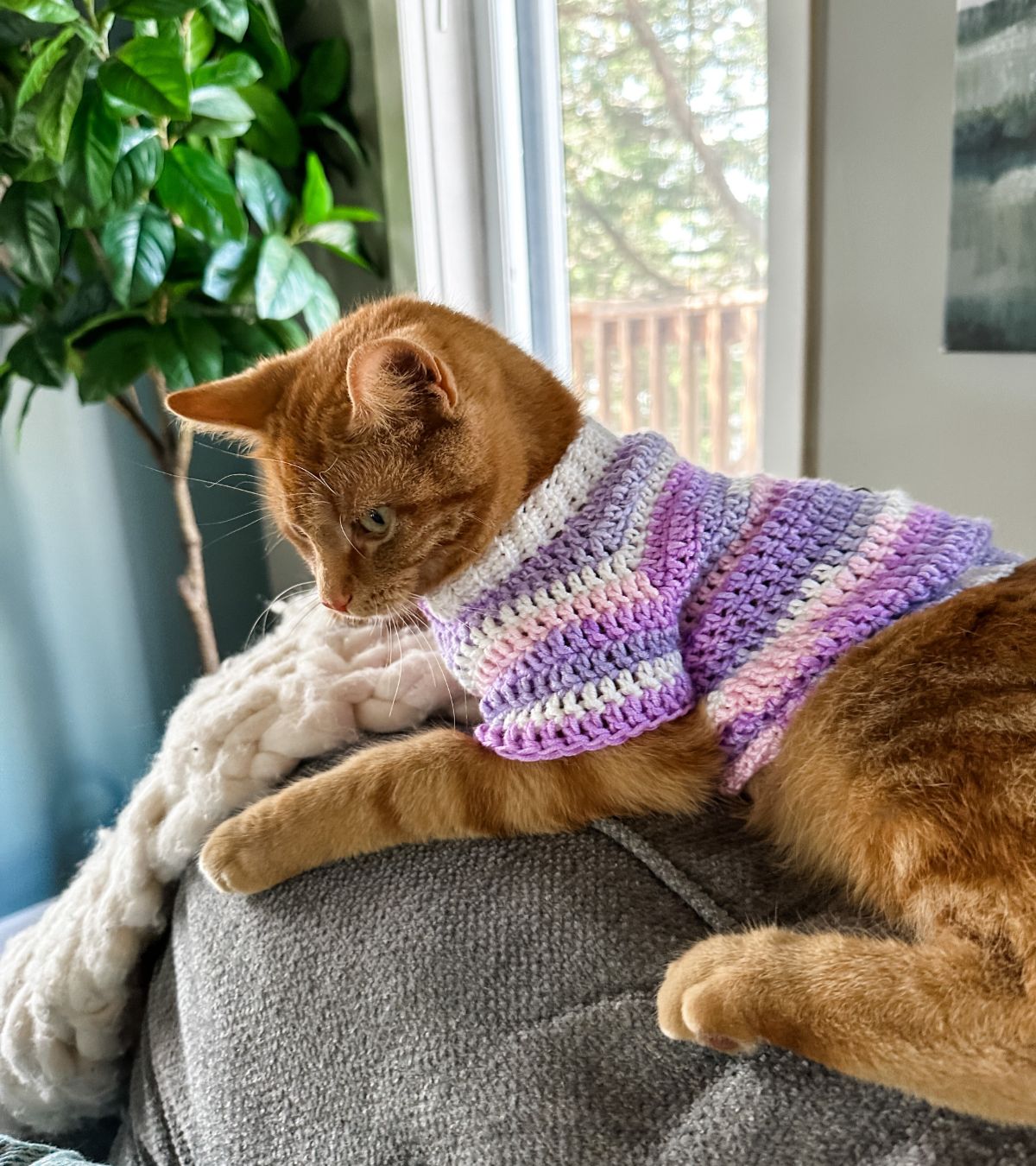 Cat Sweater Crochet Pattern - MJ's off the Hook Designs