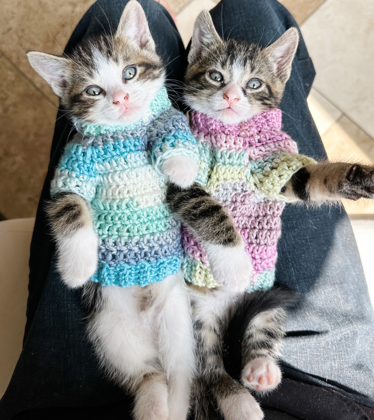 Cat Sweater Crochet Pattern - MJ's off the Hook Designs