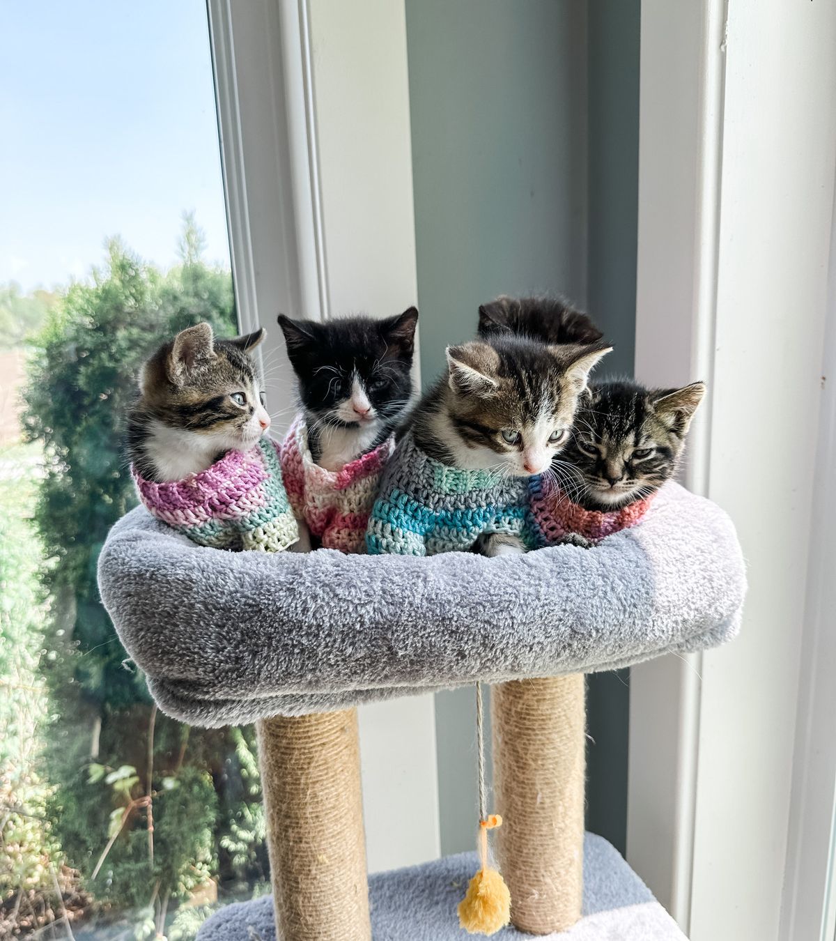 Cat Sweater Crochet Pattern - MJ's off the Hook Designs