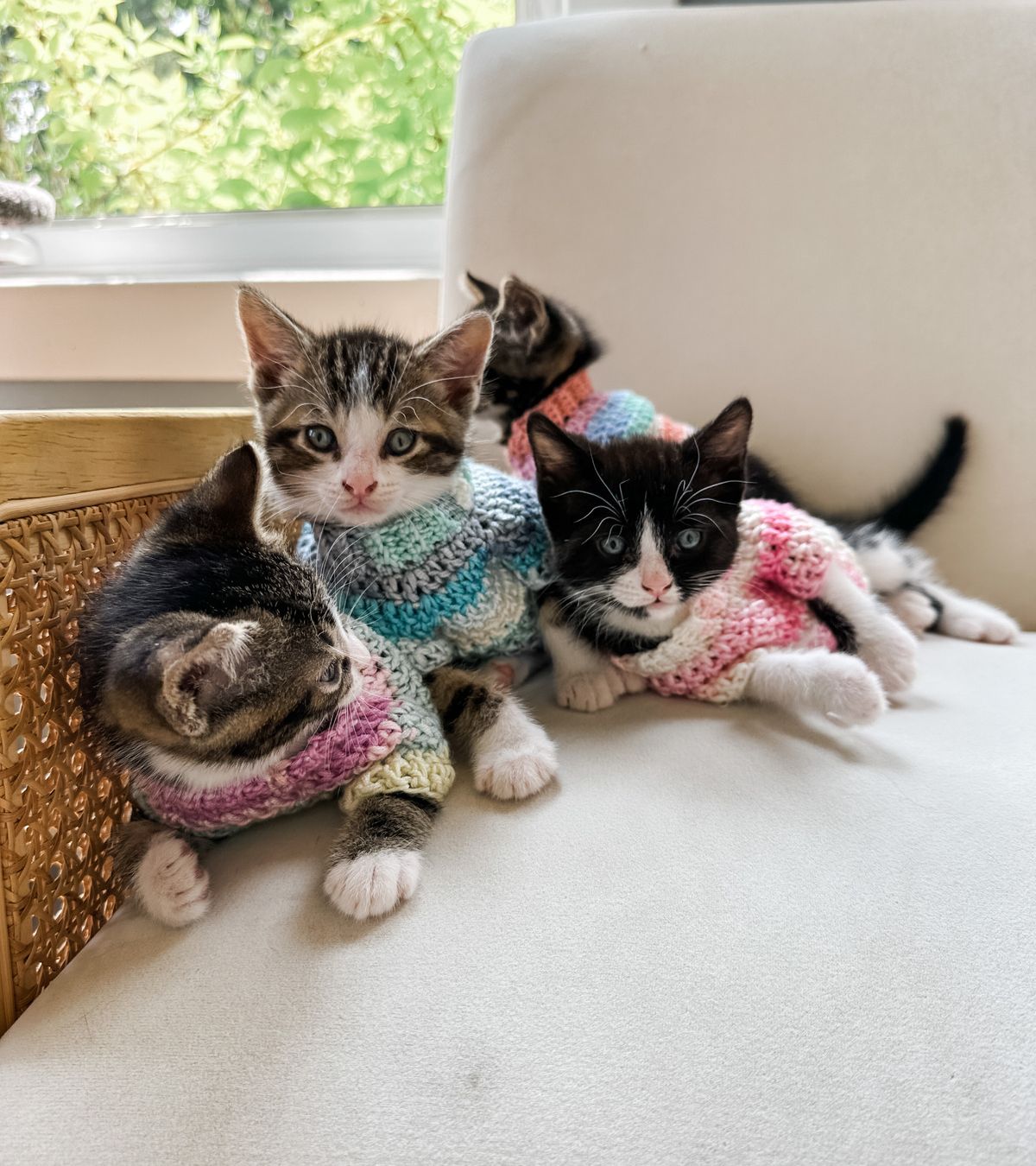 Cat Sweater Crochet Pattern - MJ's off the Hook Designs